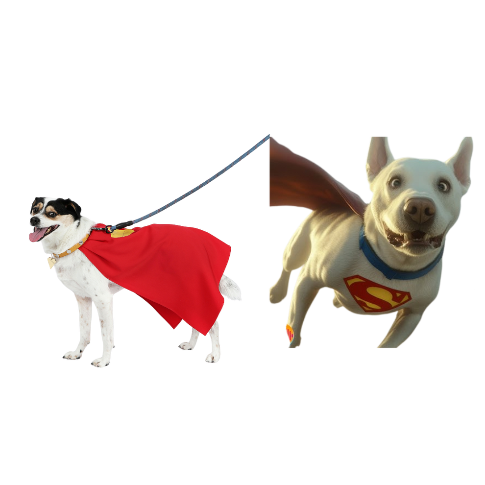 Superman Krypto the Superdog Cosplay Costume | DC Outfit – Ace Cosplay